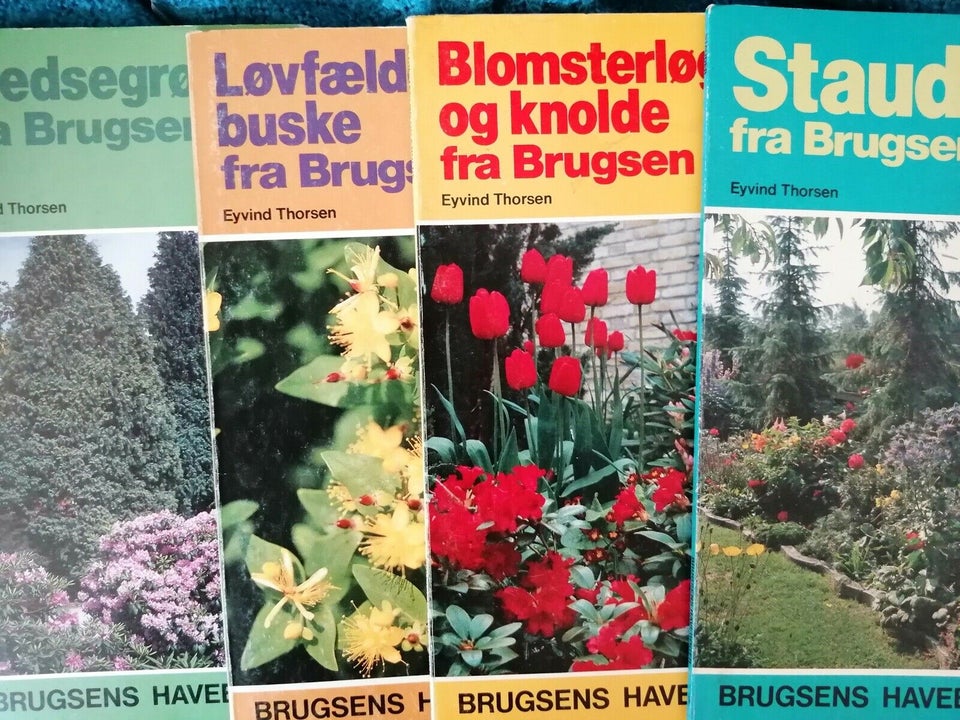 Havebog, køkkenhave, - dba.dk - Køb og Salg af Nyt og Brugt Havebog, køkkenhave, - dba.dk - Køb og Salg af Nyt og Brugt