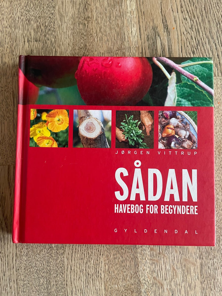 Sådan havebog for begyndere, - dba.dk - Køb og Salg af Nyt og Brugt Sådan havebog for begyndere, - dba.dk - Køb og Salg af Nyt og Brugt