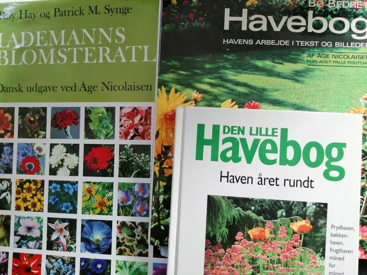 Havebog, køkkenhave, - dba.dk - Køb og Salg af Nyt og Brugt Havebog, køkkenhave, - dba.dk - Køb og Salg af Nyt og Brugt