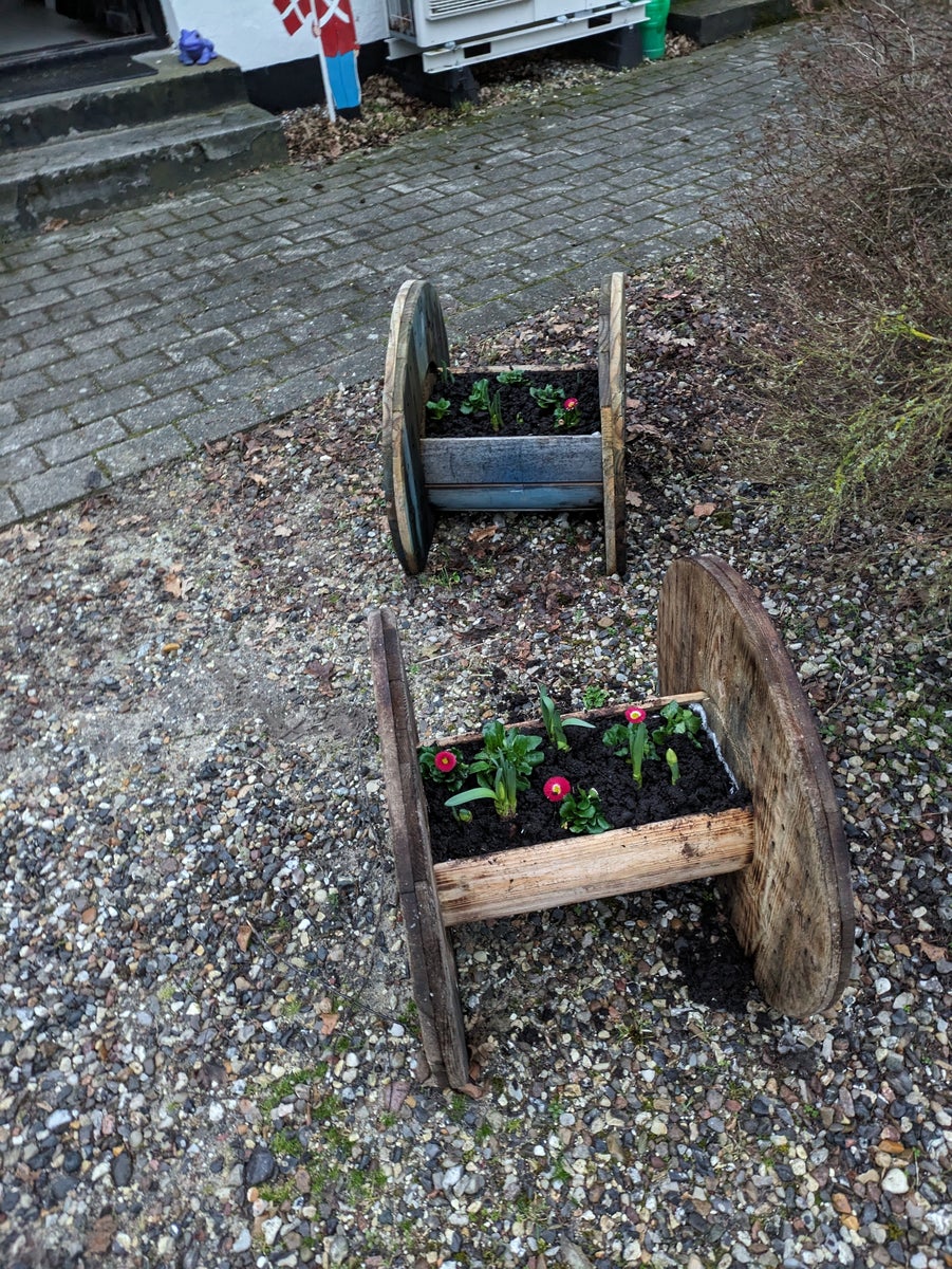 Blomster kummer - dba.dk - Køb og Salg af Nyt og Brugt Blomster kummer - dba.dk - Køb og Salg af Nyt og Brugt
