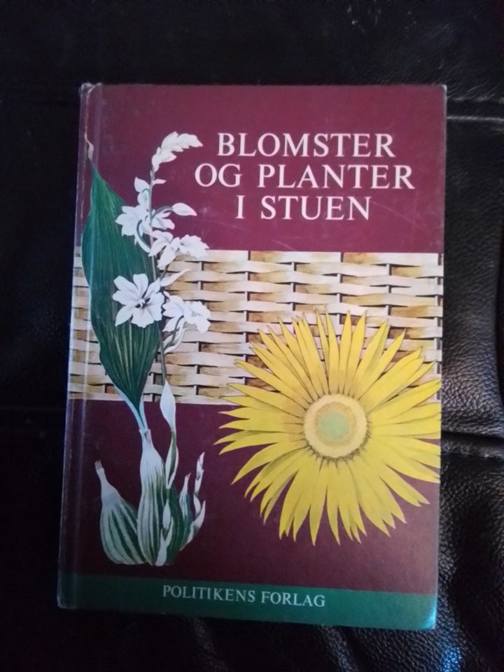 Blomster og planter I stuen - dba.dk - Køb og Salg af Nyt og Brugt Blomster og planter I stuen - dba.dk - Køb og Salg af Nyt og Brugt